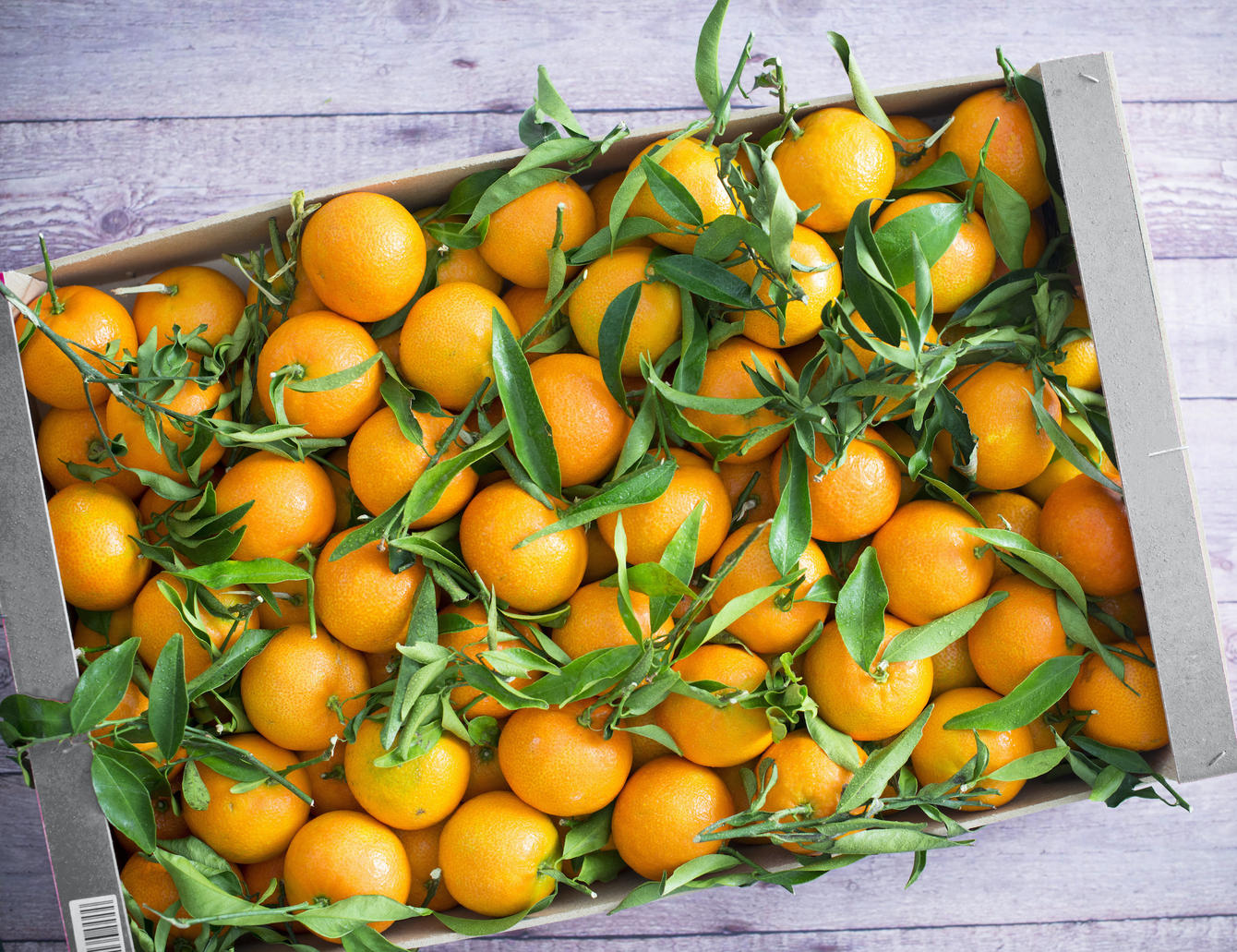 Elior UK - Contract catering